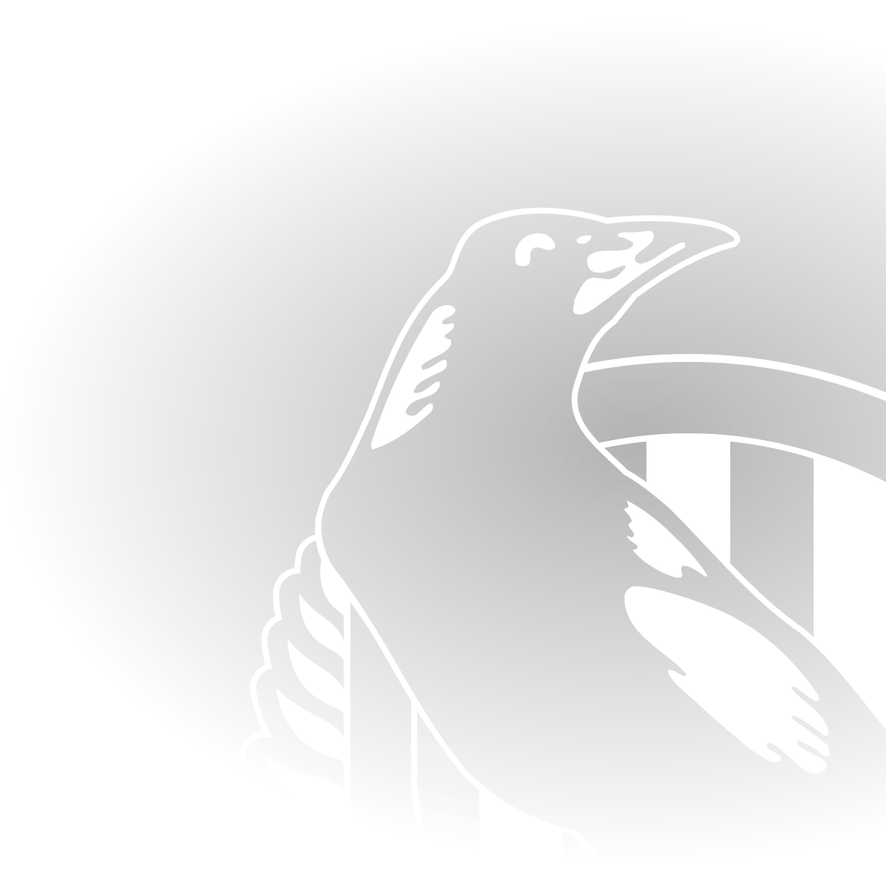 Official AFL Website of the Carlton Football Club